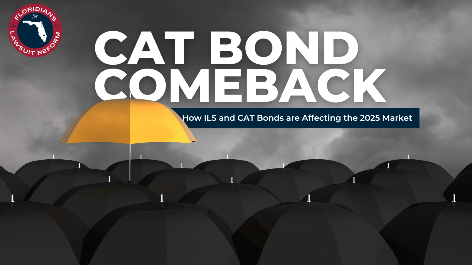 Renewed interest in cat bonds indicates favourable market entry point ...